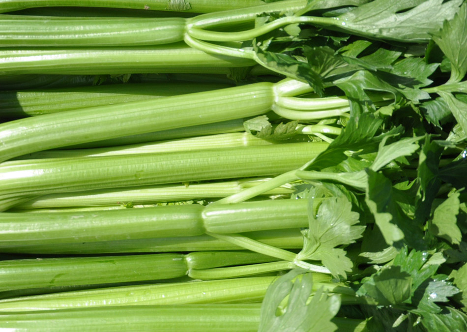 Celery | Woodhaven Gardens