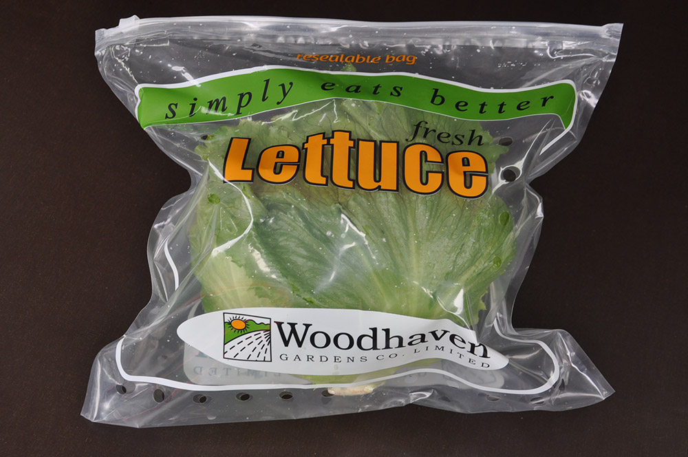 Lettuce | Woodhaven Gardens